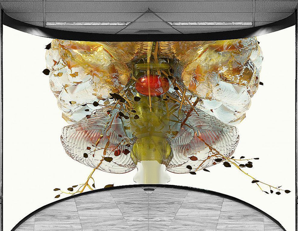 NouPou.gr: Το site που αγαπάει τα νότια προάστια