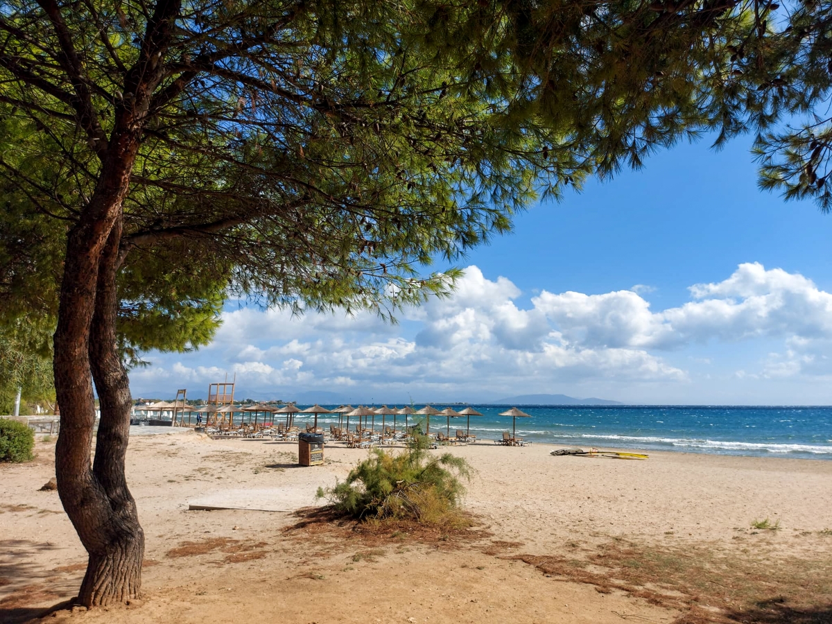 Απόδραση στη Λούτσα για μπάνιο μόλις 40' από την Αθήνα και ψαράκι δίπλα ...