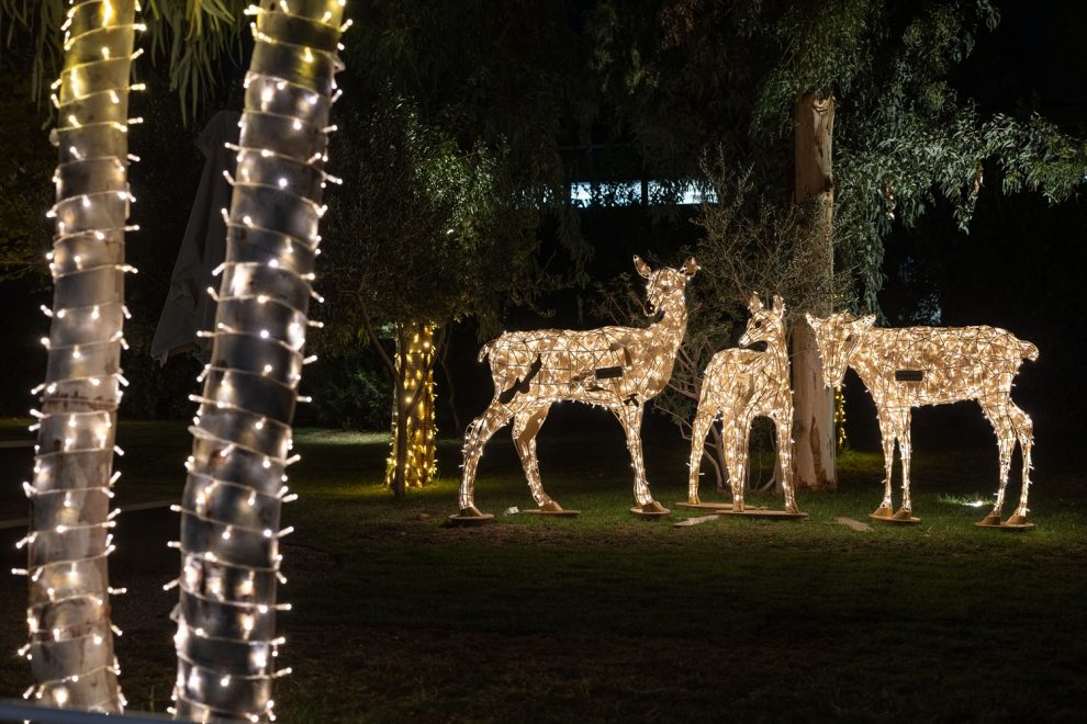 Χριστούγεννα στο The Ellinikon Experience Park: Το North Pole Express ...